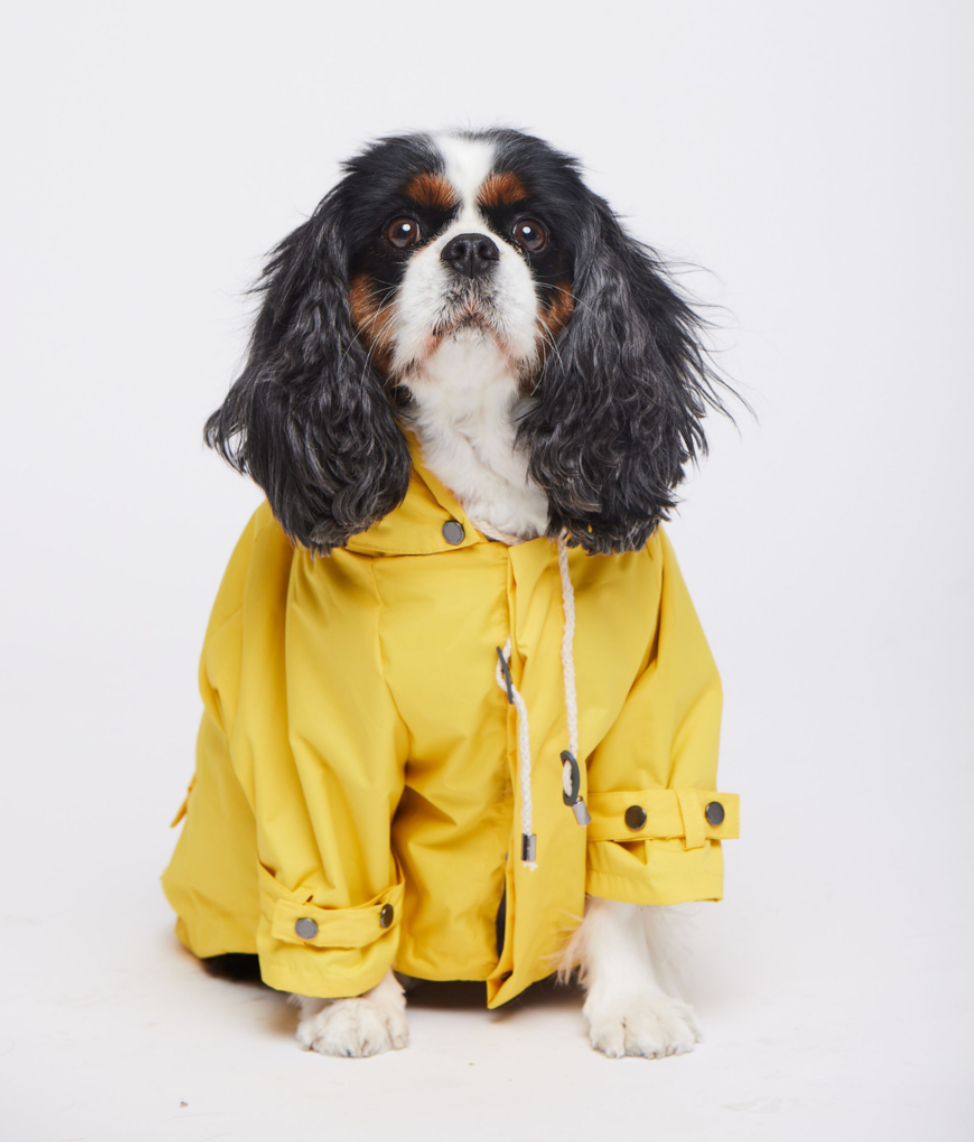 [MAX BONE] Talon Raincoat- Yellow – Pawerful Pet Store